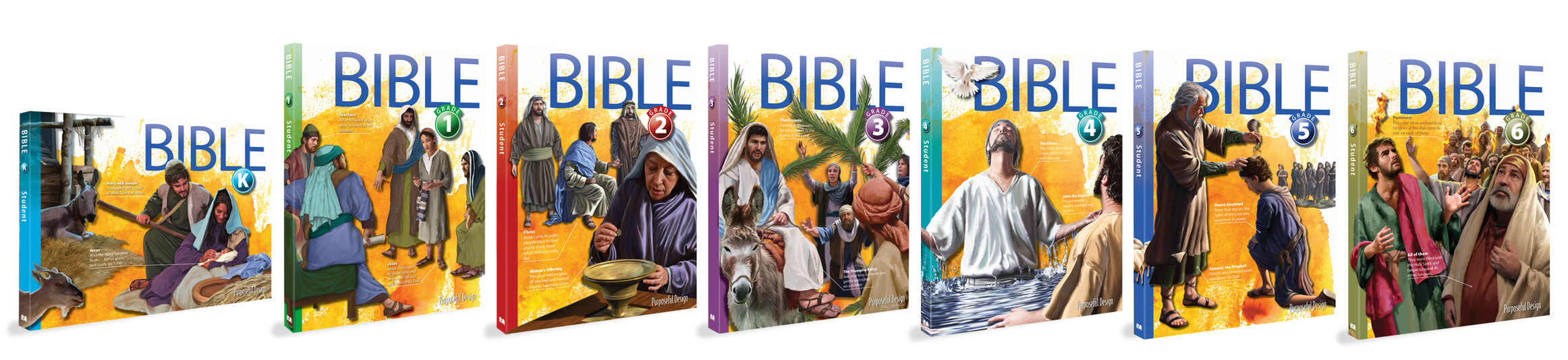 Bible Textbook Inquiry | ACSI